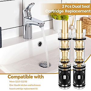 Fluronic 2 Pack 1225 Replacement Cartridge Compatible with Moen Single Handle Faucet/Showers, Dual Seal 1225/1225B Shower Cartridge Replacement Fits Bathroom Shower and Kitchen Sink Faucet Cartridge