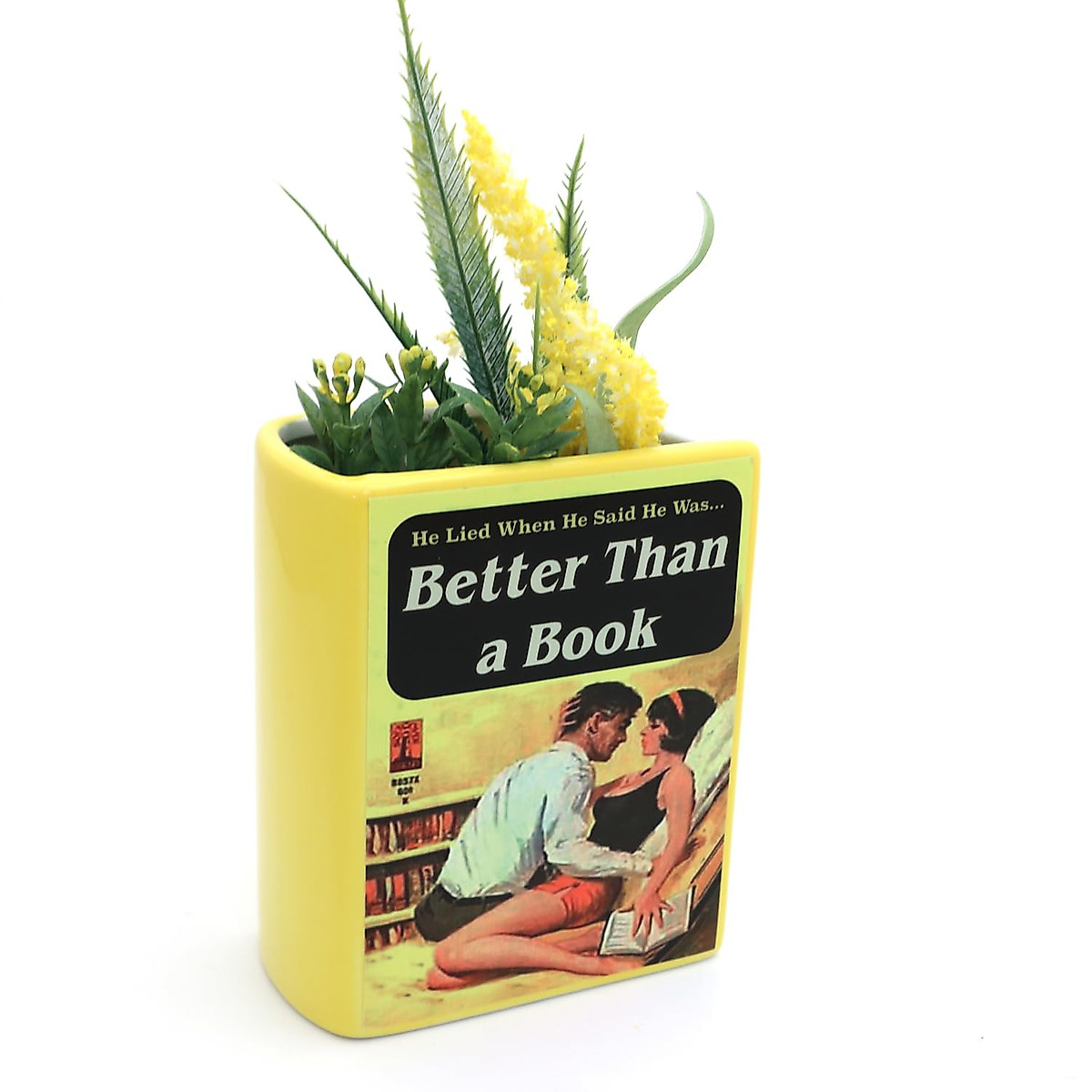 Better than a Book, snarky pencil holder, funny gift for reader, book vase LennyMud by Lorrie Veasey