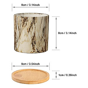 BUYMAX Succulent Plant Pots, 3.1 inch Marbling Ceramic Glazed Planters with Drainage Hole, Small Flower Pot Indoor with Bamboo Tray for Cactus, House Office Decor Gift - 6 Pack (Marble-B)