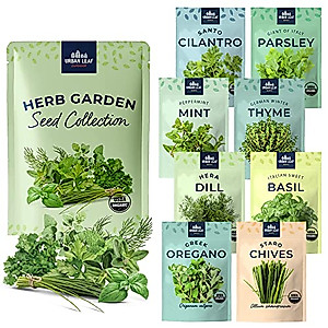 Organic Herb Seeds for Planting, Indoor Outdoor and Hydroponic Garden, incl Basil Cilantro Mint and Dill Seeds, Non GMO and USDA Certified Organic, Gardening Variety Pack