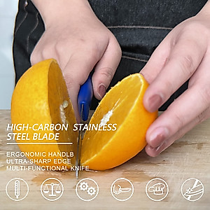 NTVKID 3.25 Inch Swiss Classic Paring Knives with Straight Edge, Spear Point Color Paring knife set of 6,red/green/blue