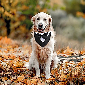 URROMA 1 PC Formal Dog Bandana Collar, Pet Tuxedo Collar with Bow Tie Dog Wedding Bowtie Collar, Black L