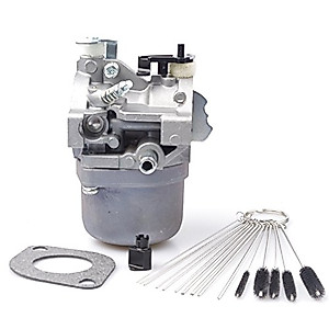 Dosens Carburetor Compatible with Briggs & Stratton 799728 494392 494502 286702 286707 LMT 5-4993 Models 286702 286707Carb with Gasket & Carbon Dirt Jet Cleaner Tool Kit