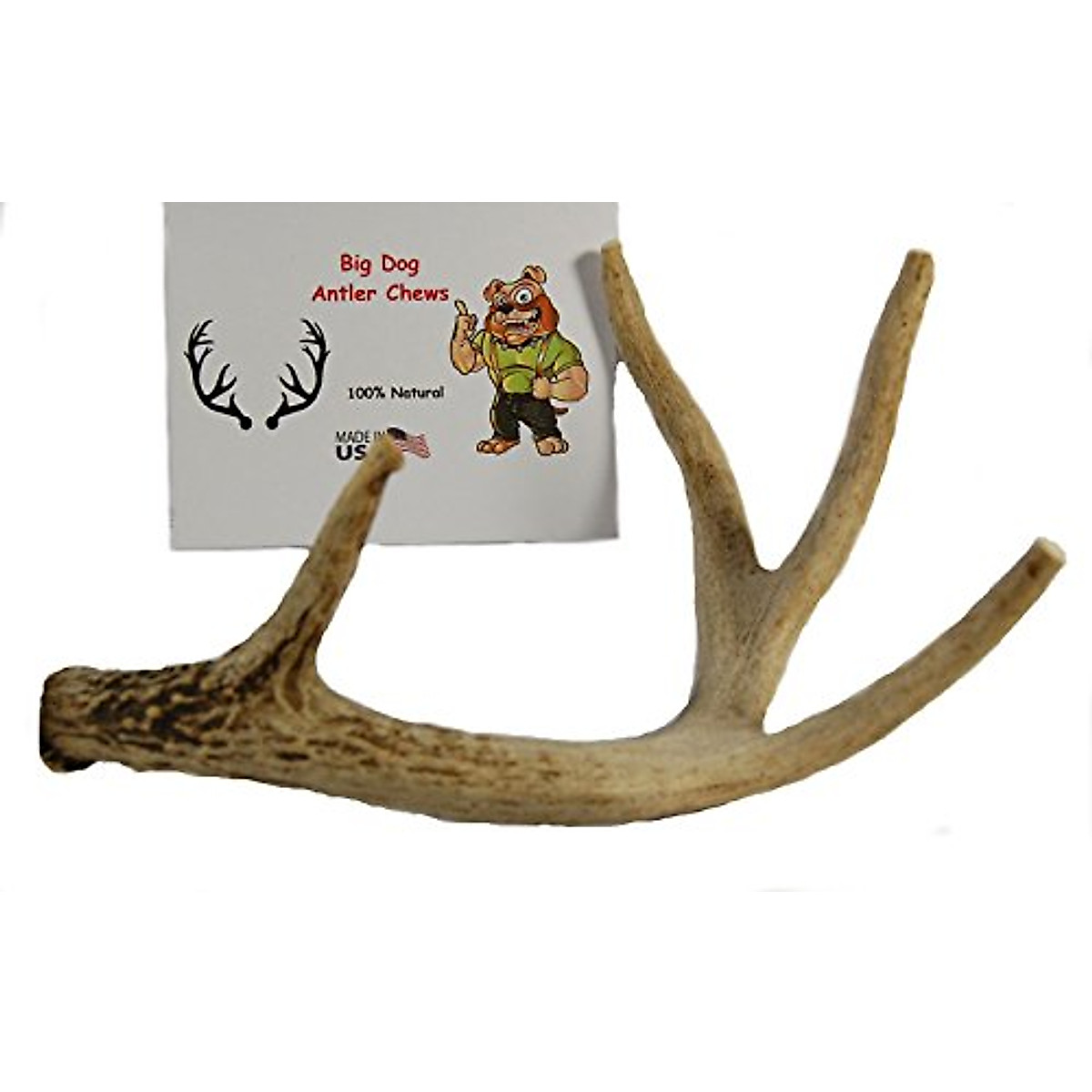 Big Dog Antler Chews - Whitetail Deer Antler Dog Chew, Medium, 8 Inches to 13 Inches Long, Natural, Healthy Long-Lasting Treat. for Medium to Large Size Dogs and Puppies! Happy Dog Guarantee!