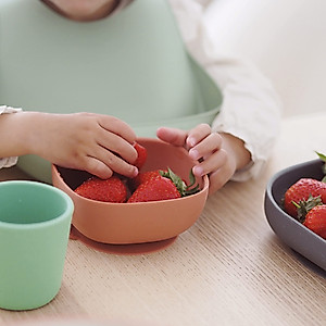 Beaba 100% Silicone 4 Piece Baby Feeding Set, Suction Plates for Baby, Includes Baby Plate, Baby Bowl, Baby Cup, 2nd Stage Silicone Spoon, High Grade Food Safe Silicone, Baby Must Haves, Mineral