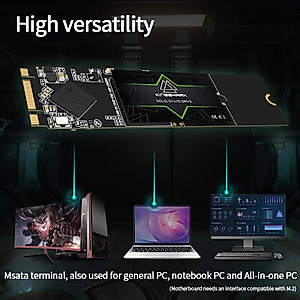 Kingshark gamer SSD M.2 2280 256GB Ngff Internal Solid State Drive High-Performance Hard Drive for Desktop Laptop SATA III 6Gb/s (256GB, M.2 2280)