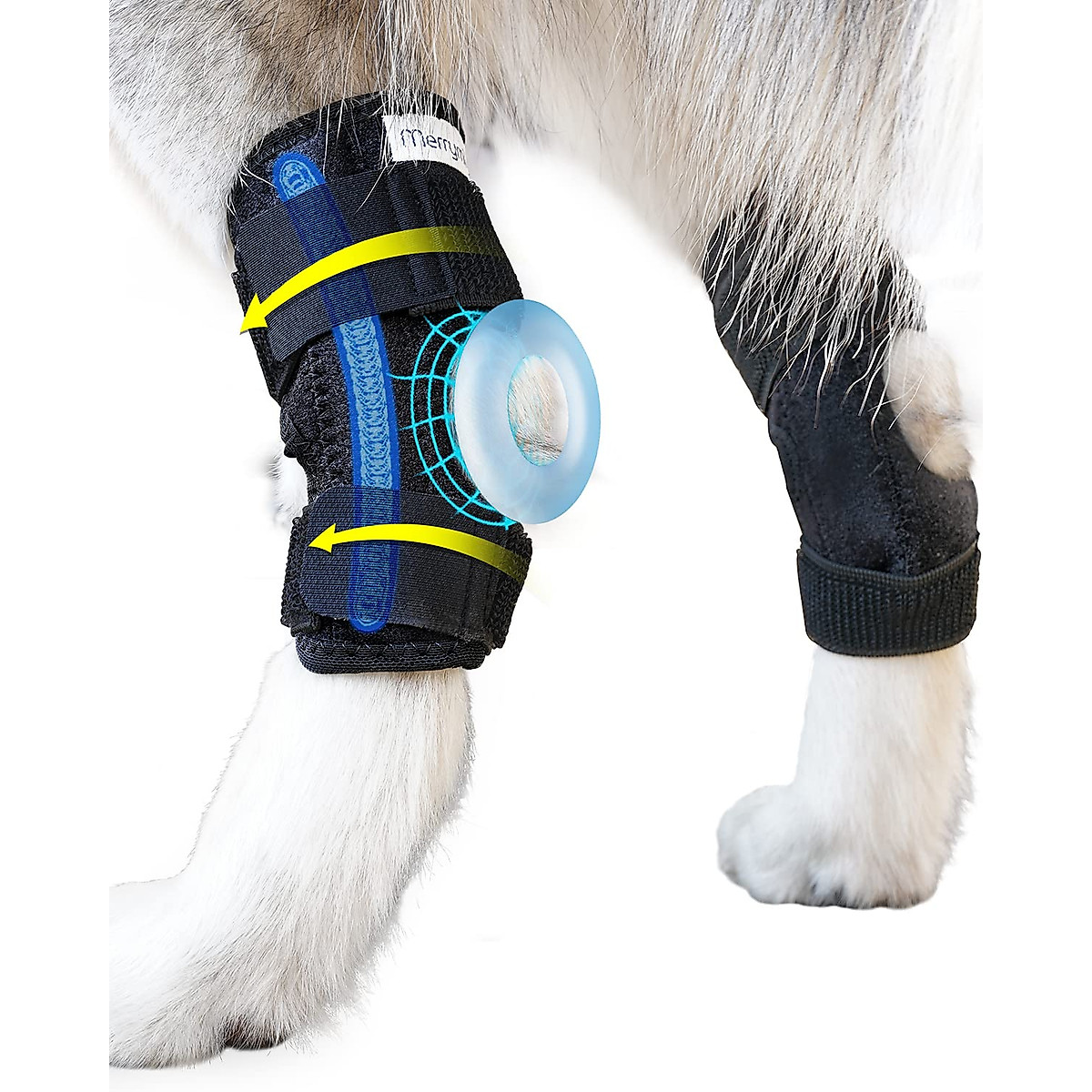 MerryMilo Dog Leg Brace for Rear Hock & Ankle, Canine Hind Leg Joint Compression Wrap for Torn ACL & CCL, Injury and Sprain Protection, Wound Care and Loss of Stability from Arthritis 1 Pair (Size: M)