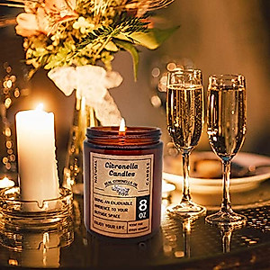 Citronella Candles Outdoor in Glass Jar 8.0oz Soy Wax Scented Candles for Home Patio Balcony, Set of 2