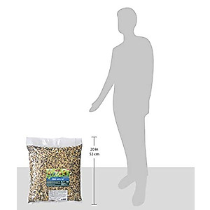 Living World Small Parrots Premium Mix With Pillow Bulk Bag, 20-Pound