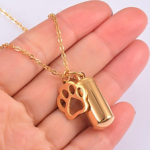 Lerpwige Stainless Steel Pet Urns Holder Necklace for Dogs Cats Pet Memorial NecklaceKeepsake Loss Pet Memory Urn Holder Jewelry Stainless Steel Pet Urn Necklace Cremation Jewelry for Pets