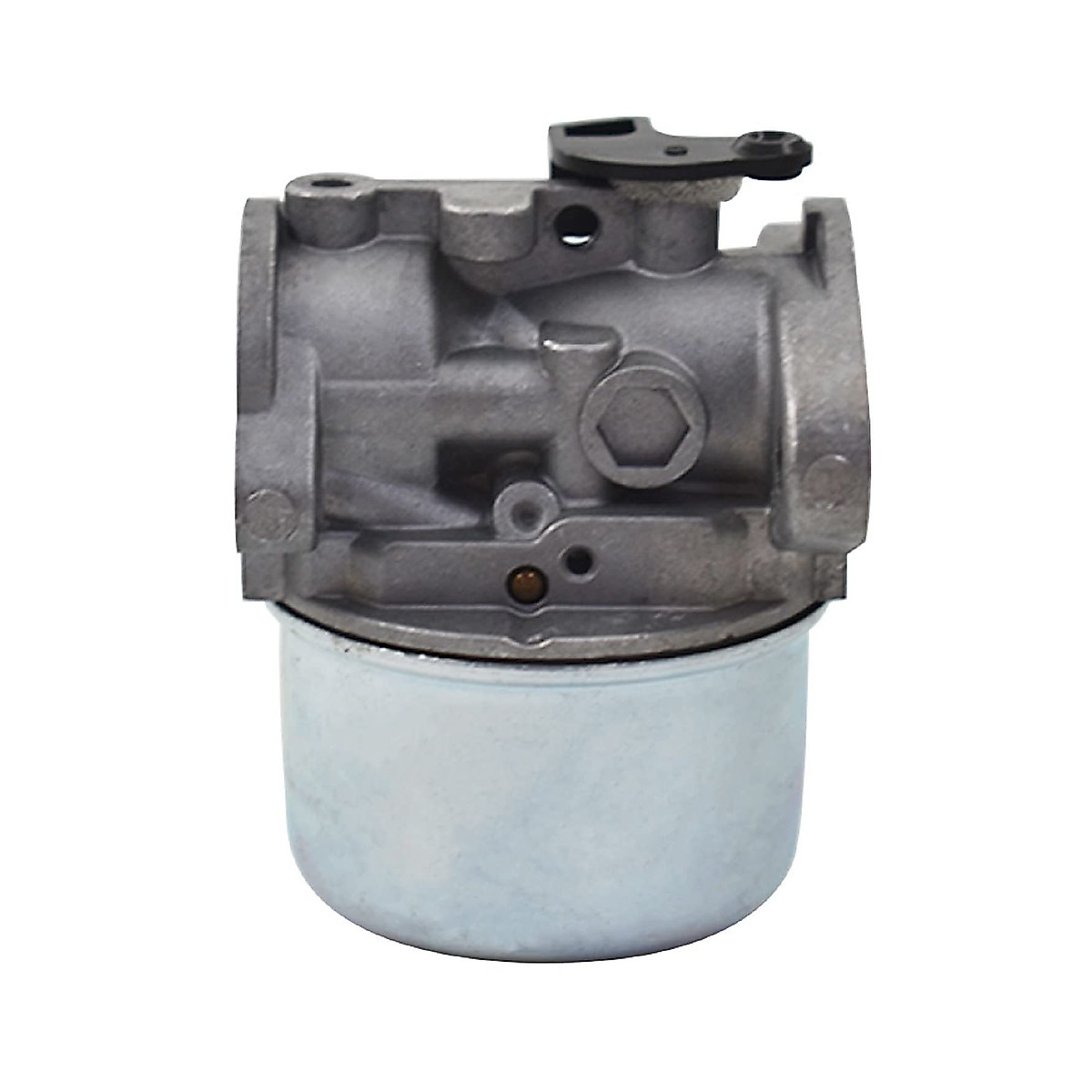 munirater 799868 Carburetor with Gasket & O-Ring Replacement for Briggs & Stratton 799868 498170 498254 497314 497347 Lawn Mower Carb