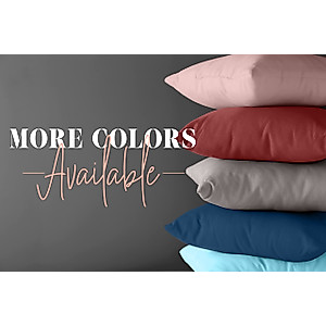 Elegant Comfort 2-Pack Sham Set Pinch Pleat Design, 1500 Premium Hotel Quality Microfiber, Stylish Design-Easy Care, Wrinkle and Stain Resistant, 2-Piece Sham Set, Pleated Standard/Queen, White