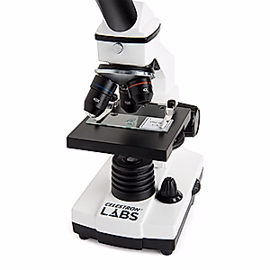 Celestron – Celestron Labs – Monocular Head Compound Microscope – 40-800x Magnification – Adjustable Mechanical Stage – Includes 2 Eyepieces and 10 Prepared Slides