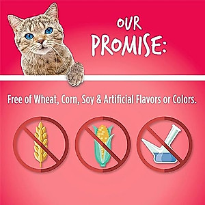 Fruitables Cat Crunchy Treats For Cats – Healthy Low Calorie Packed with Protein – Free of Wheat, Corn and Soy – Made with Real Salmon with Cranberry – 2.5 Ounces
