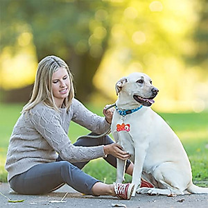 6 PCS Pet Tag Resin Molds, AFUNTA Dog Bone Shaped Tag Silicone Molds Photo Memorial Resin Molds Silicone with 10 Key Rings, for DIY Keychain Pet Tag Pendant Craft