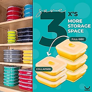 Collapse-it Silicone Food Storage Containers, 6-piece Rectangle Set (Size - 2 Cup Each, 6 Pack Total Qty) Oven, Microwave and Freezer Safe