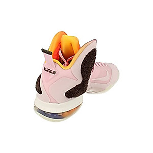Nike Lebron IX Regal Pink/Multicolor/Velvet Brown 10 D (M)