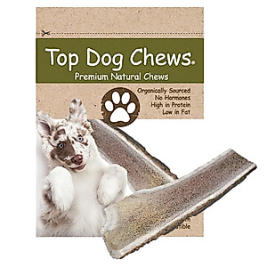 Top Dog Chews - Huge Split Elk Antler (Ideal for Dogs Over 40lbs) - (8-10 Inches) - All Natural and Long Lasting Dog Chew for Aggressive Chewers - 1 Count
