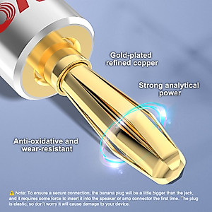 VCELINK Speaker Banana Plugs 6 Pairs/12 Pcs, 24K Gold Plated Dual-Screw Type Speaker Connector for Speaker Wire, Home Theater, Wall Plate, Audio/Video Receiver and Sound Systems (Red+Black)