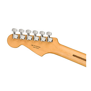 Fender Player Plus Stratocaster Electric Guitar, with 2-Year Warranty, Silverburst, Pau Ferro Fingerboard