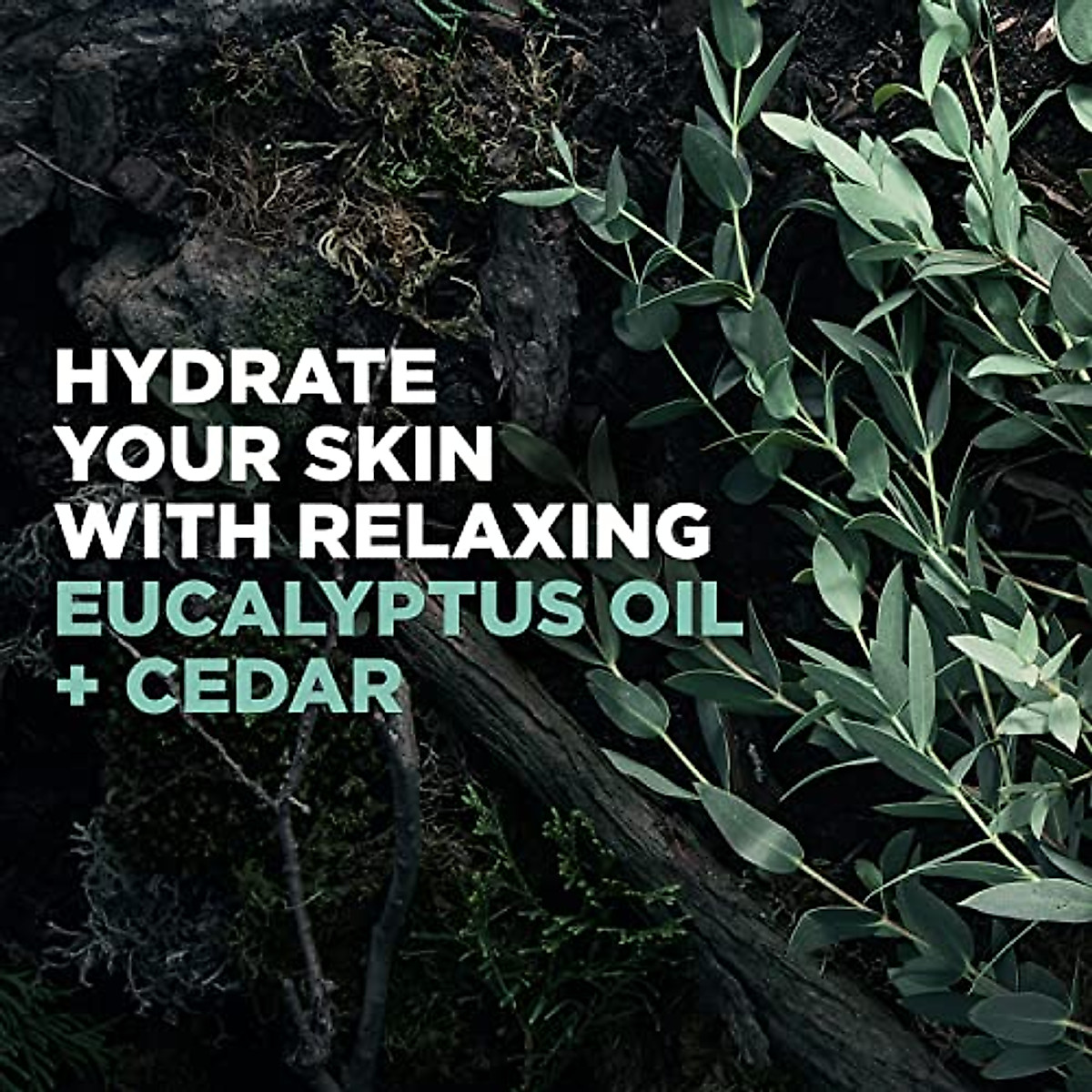 Dove Men+Care Body Wash for a refreshing shower experience Eucalyptus Cedar Body Wash for Men, 18 Fl Oz (Pack of 4)