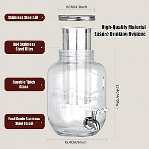 Homtone 1 Gallon Cold Brew Coffee Maker Dispenser, Cold Brew Coffee Kit with Stainless Steel Spigot, Iced Coffee Beverage Dispenser, Reusable Cold Brew Mason Jar for Home Fridge