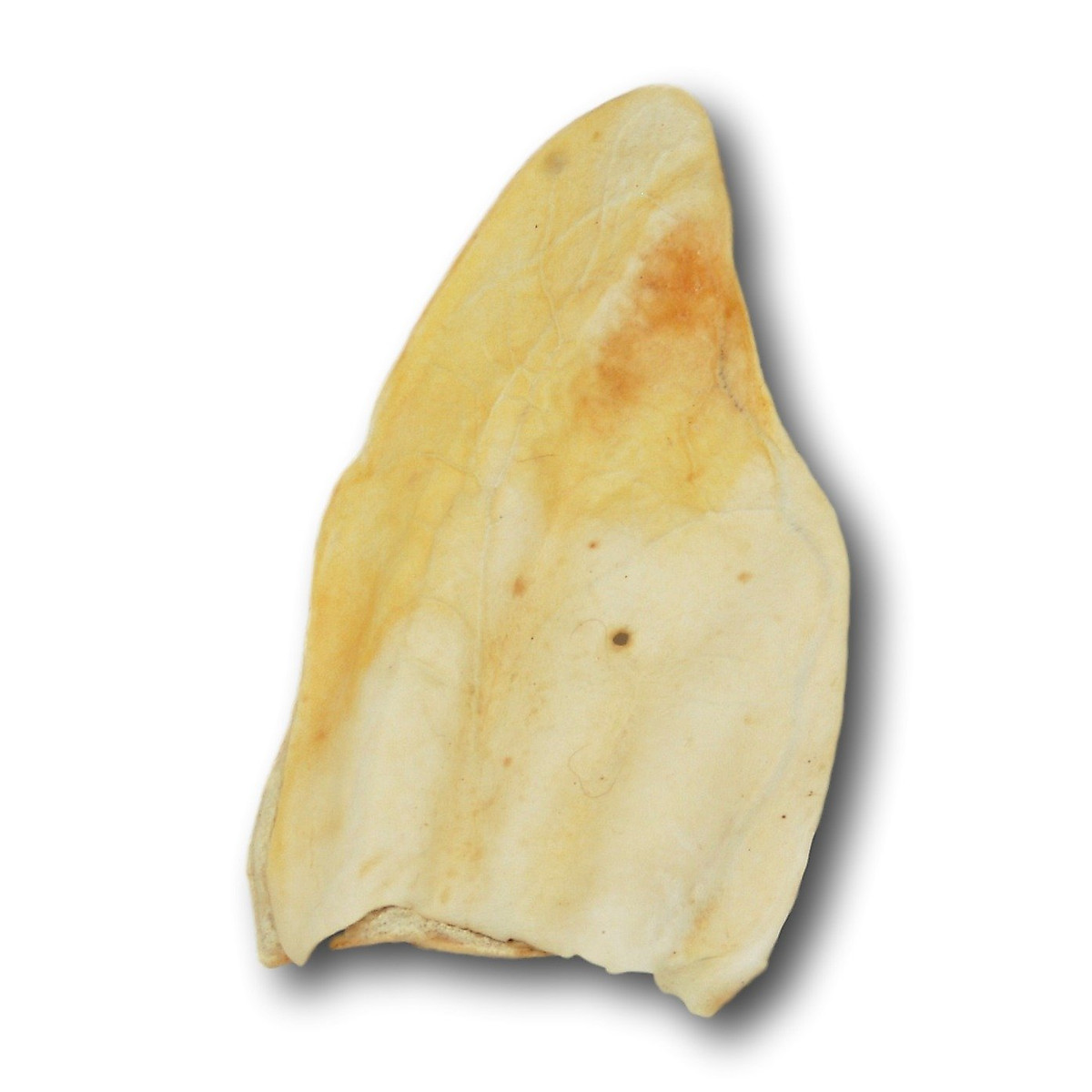 Top Dog Chews - Cow Ears Dog Treats, 6" - 7", 10 Pack, America's Made, All Natural, Rich in Protein and Flavor, Healthy & Delicious Treats for Dogs, Breeds