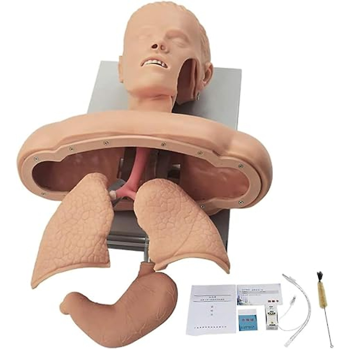 Oral Nasal Intubation Manikin,First Aid Tracheal Intubation with Alarm Function,Intubation Manikin Airway Management Trainer Advanced Human Tracheal Intubation Model