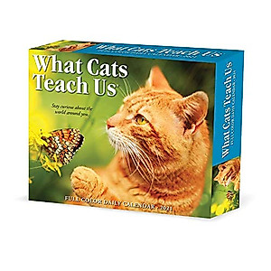 What Cats Teach Us 2021 Box Calendar