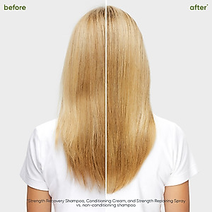 Biolage Strength Recovery Shampoo | Gently Cleanses & Reduces Breakage | For All Damaged & Sensitized Hair | Vegan | Cruelty-Free | Strengthening Shampoo | Infused with Vegan Squalane | 13.5 Fl. Oz