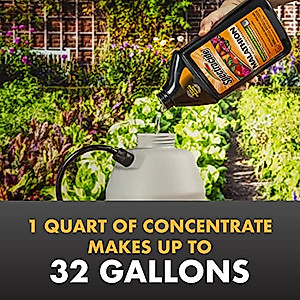Spectracide Malathion Insect Spray Concentrate, 32 oz, Pack of 1