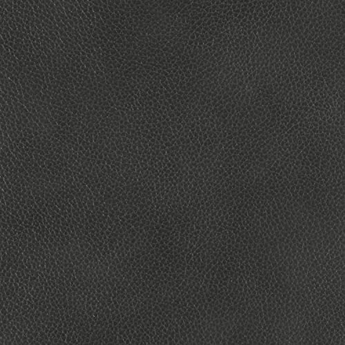 Lexicon Finlay Top Grain Leather Power Double Reclining Sofa, Dark Gray