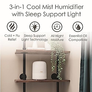 Crane Ultra-Quiet 3-in-1 Humidifier, Essential Oil Aroma Diffuser & Soothing Sleep Light - Compact 0.5 Gallon Capacity with Adjustable Night Light & Fragrance Tray - Ideal for Bedroom, Office, Nursery
