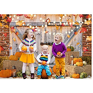 DHXXSC 7X5FT Fall Thanksgiving Autumn Backdrop Autumn Pumpkins to The Countryside Photography Background Harvest Harvest Backdrops Hay Maple Leaves Baby Shower Banner Supplies Photo Booth Prop DH-222