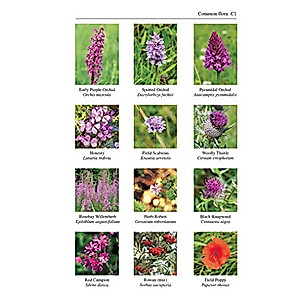 Cotswold Way: Chipping Campden to Bath - Planning, Places to Stay, Places to Eat; Includes 44 Large-scale Walking Maps (British Walking Guides)