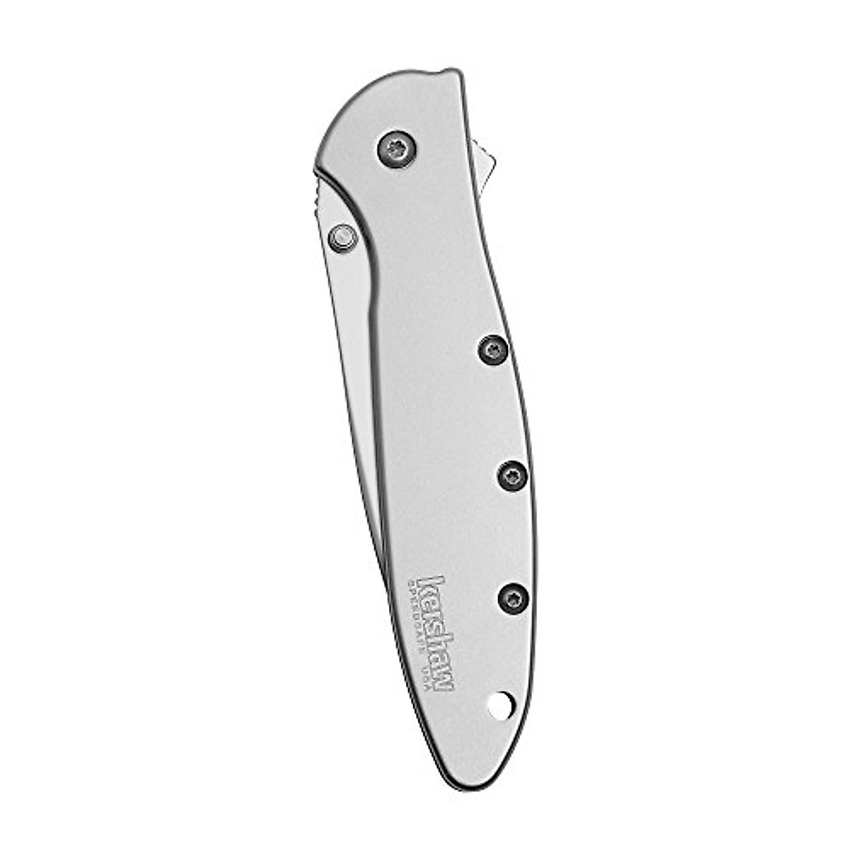 Kershaw Leek Serrated EDC Pocketknife, 3" Sandvik 14C28N Steel Blade, assisted opening Folding Knife, Dual Lock System