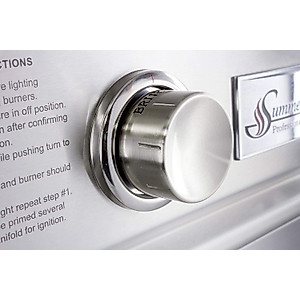 32" TRLD Stainless Steel Propane Gas Grill