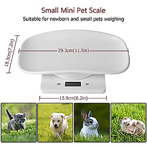 BIGNADO Digital Puppy Scale Small Pet Scale for Puppies High Precision Wiggle-Proof Multi-Function Electronic Kitten Scales Weigh Rabbit or Puppy Mini Gram Weight for Newborn Pets, 11.6''*7.3''