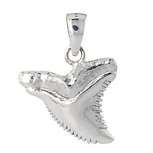 Jewelry Trends Sterling Silver Shark Tooth Pendant