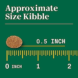 NUTRO NATURAL CHOICE Large Breed Puppy Dry Dog Food, Chicken & Brown Rice Recipe Dog Kibble, 30 lb. Bag