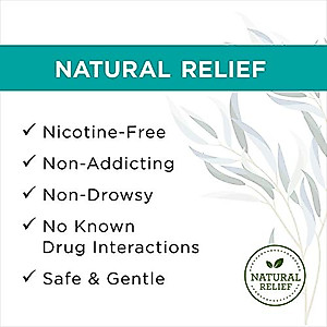 Hyland's Quitter's Relief, Headache, Gentle Relief for Smoking Cessation Symptoms, 100 Tablets, 100 Count