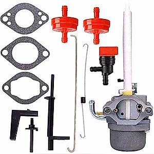 HOOAI 796122 Carburetor for Briggs & Stratton 794593 696737 793161 Ariens MTD Cub Cadet Snowblower Snowthrower Tractor Carburetor