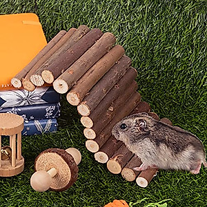 Sofier Hamster Toys Hamster Accessories for Cage Natural Guinea Pig Toys and Chews for Teeth Rat Toys Chinchilla Toys Wood Hamster Hideout Hamster Bridge Apple Wood Sticks