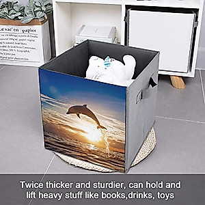 Ocean Sea Dolphin Jumping Collapsible Storage Bins Basics Folding Fabric Storage Cubes Organizer Boxes with Handles