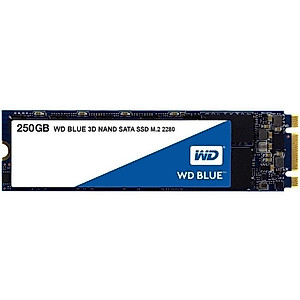 Western Digital 250GB WD Blue 3D NAND Internal PC SSD - SATA III 6 Gb/s, M.2 2280, Up to 550 MB/s - WDS250G2B0B