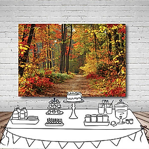 LYWYGG Autumn Scenery Deciduous Background 7x5ft Vinyl Deciduous Mountain Road Photography Backdrop Tree and Yellow Fall Leaves View Background Studio Props CP-67