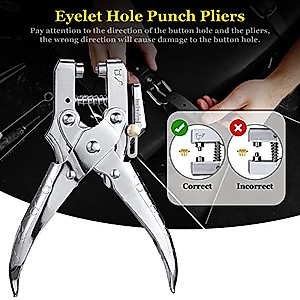 POUPHY Hole Punch Tool, Eyelet Hole Puncher Kits with 3/16 inch 200 Pcs Gold & Silver Metal Grommets for Leather Fabric Belt Clothes Card Paper Canvas Decorative Repair