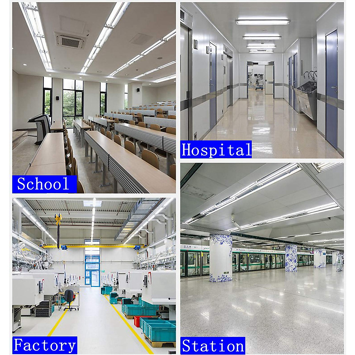 4FT LED Tube Light, T8 T10 T12 LED Bulb, 32W(60W Equivalent) 4160LM, 5000K Daylight, Clear Cover, Medium Bi-Pin G13 Base,4 Foot Fluorescent Tube Replacement (12 Pack)