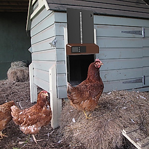 Issufel 2023 Upgraded Automatic Chicken Coop Door, Brown, Waterproof, Weatherproof, Durable, Protects Flock