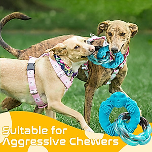 Rmolitty Dog Toys for Aggressive Chewers Large Medium Breed Dogs, Indestructible Interactive Tough Non-Toxic Natural Rubber & Nylon Tough Teething Double-Ring Chew Toys